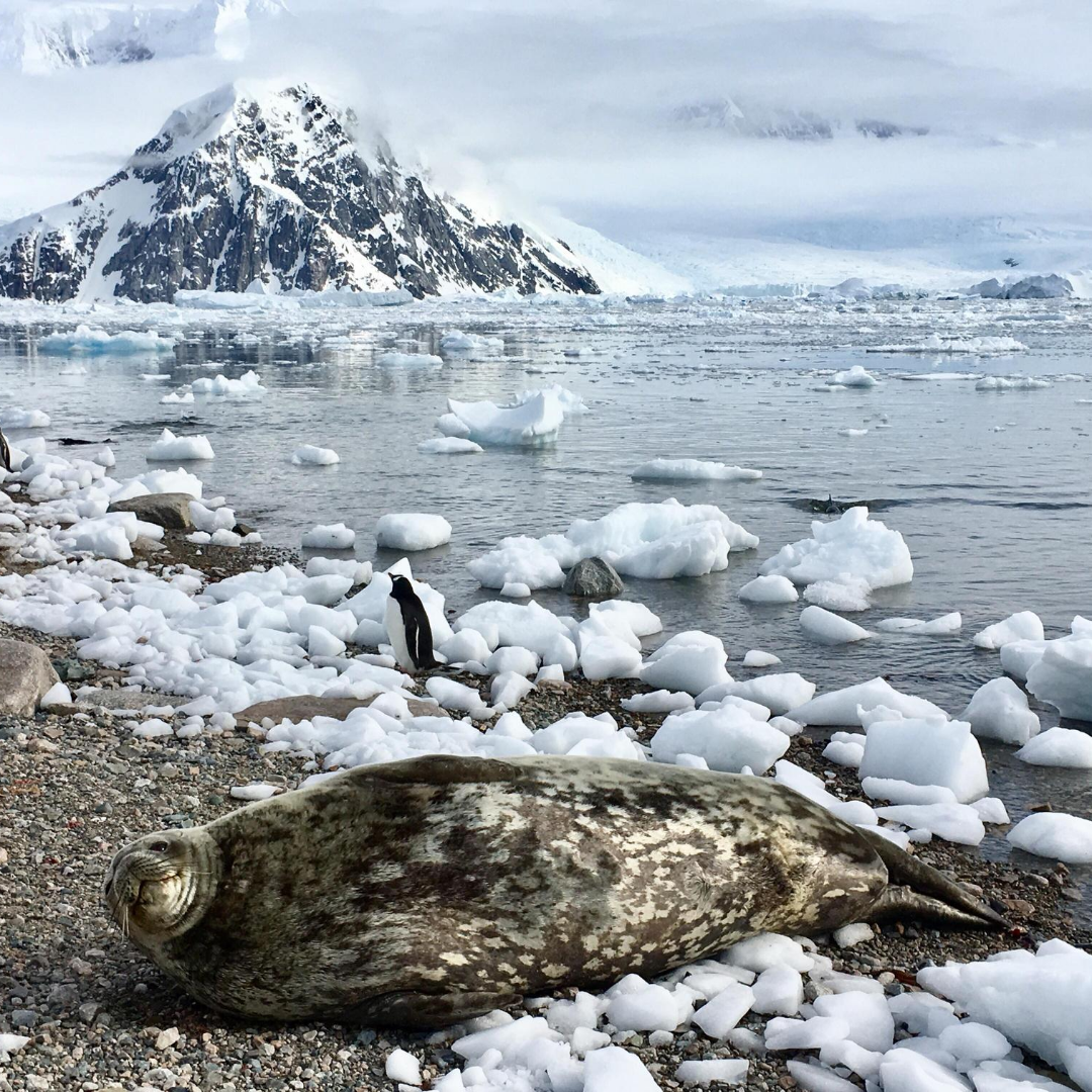 Ecosystems and the Climate – Hungate Lab